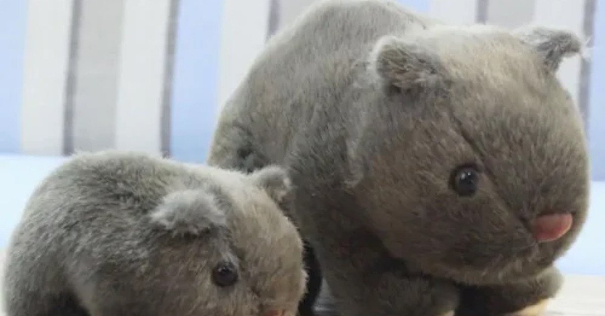 Wombat plush toy – Wombat in the Snow